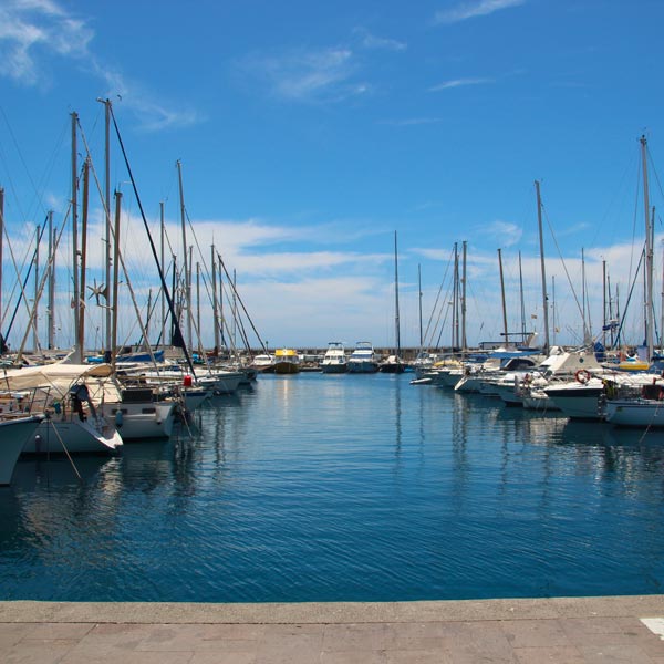 Transfer Milan and Long Range Transfer: Vip Limousine